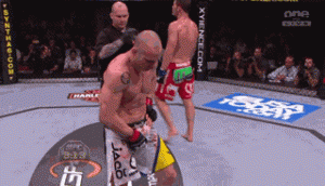 Funny UFC 110 Clips and GIFs For Nogueira vs Velasquez Event | MMA Fight
